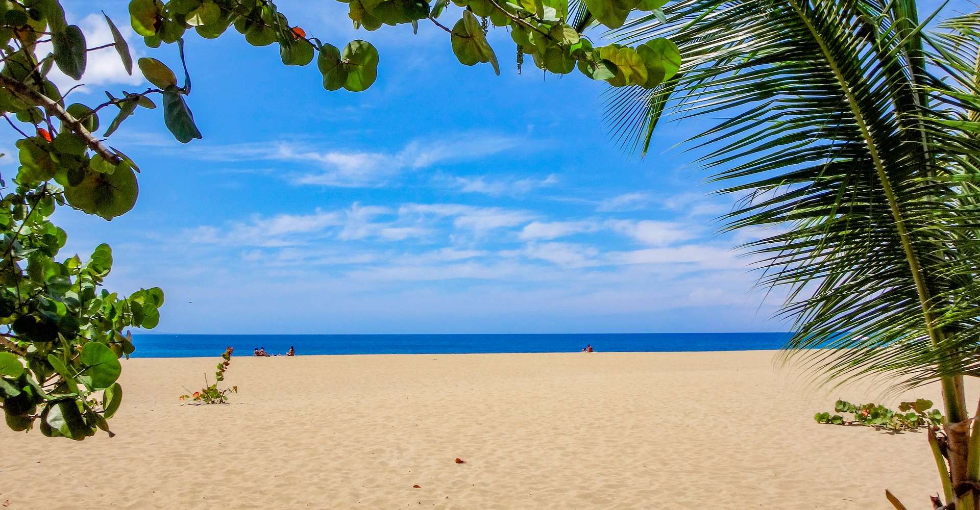 Everything you Need to Know about Barbados in November | Backpacker Boy